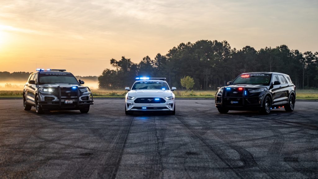 Home - Federal Protection Agency